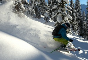 5 sensational tips for skiing trees like a pro at Bighorn Revelstoke